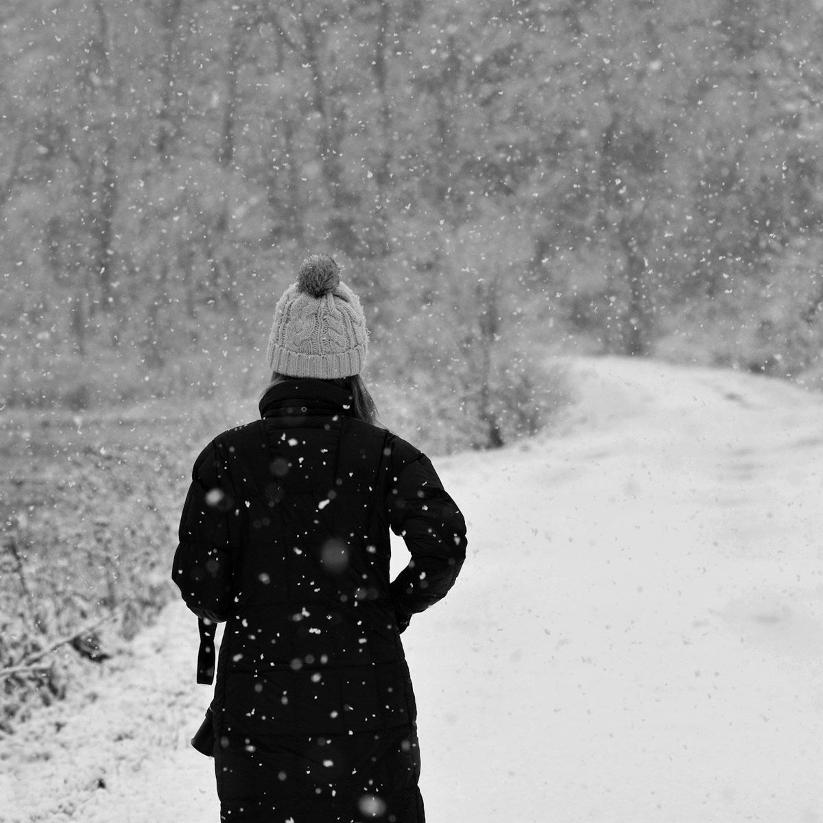 A Different Kind of Dry January - Why You Need “Master Stock” Chicken ...