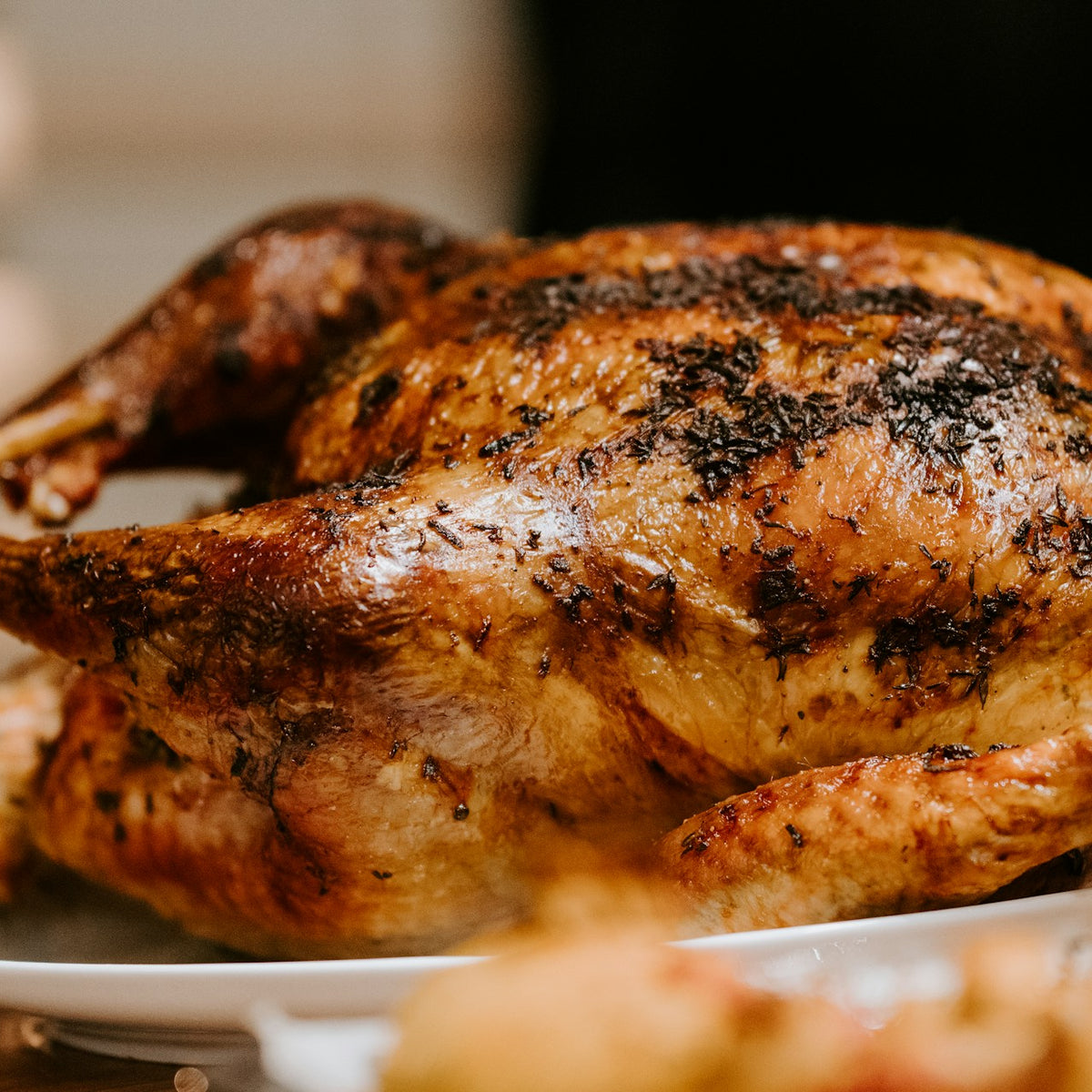 What to Look for and What to Buy with Chicken Brands – JidoriHome